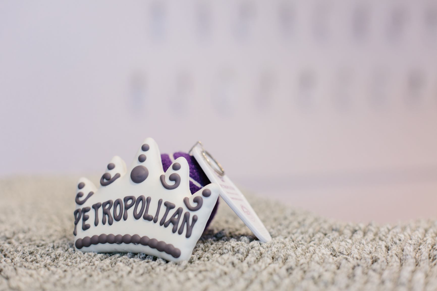 Luxury Dog Boarding in Calgary AB - The Petropolitan