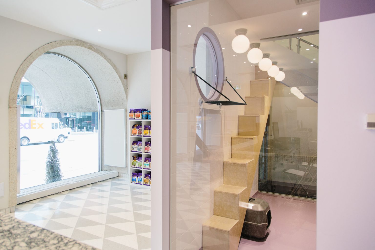 Cat Boarding in Calgary AB - The Petropolitan