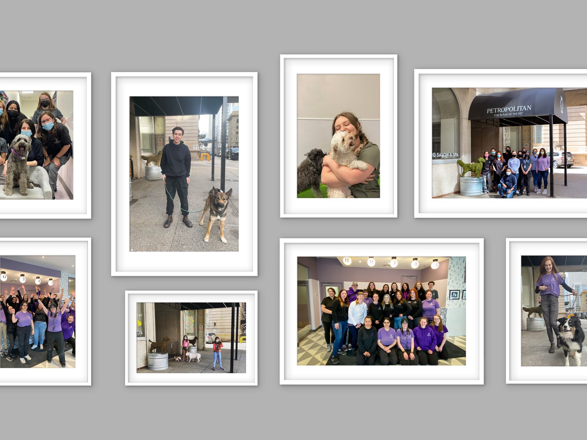 Blog - The Petropolitan