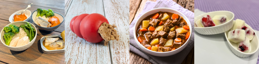 Quality Dog Daycare in Calgary AB - The Petropolitan